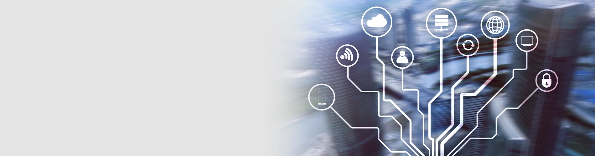 Network Support Services - Race Computer Services