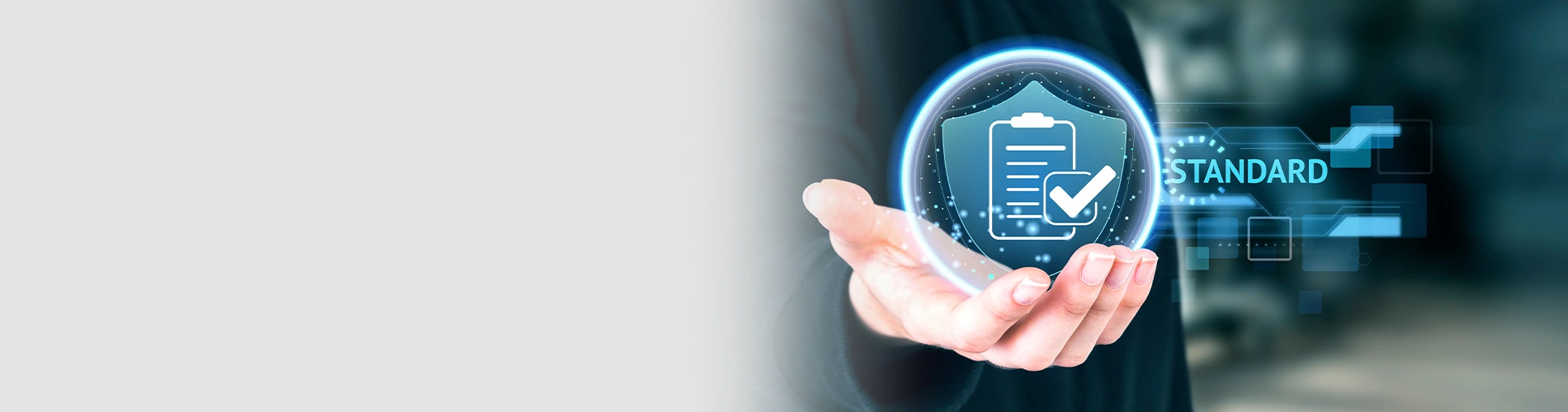 PCI DSS Compliance Remediation Services - Race Computer Services